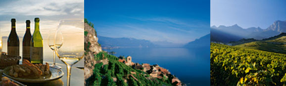 Best of Swiss and French Culture | European Travel Advisors